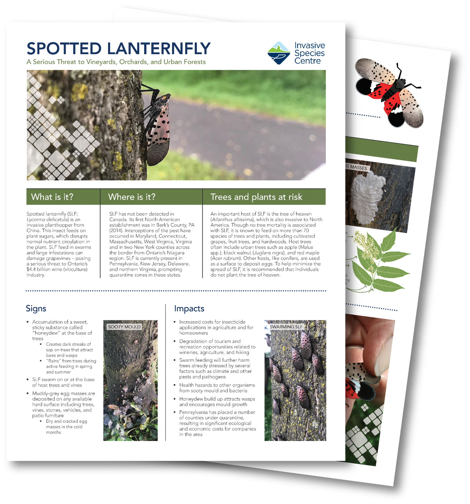 Invasive Species – Invasive Species Centre