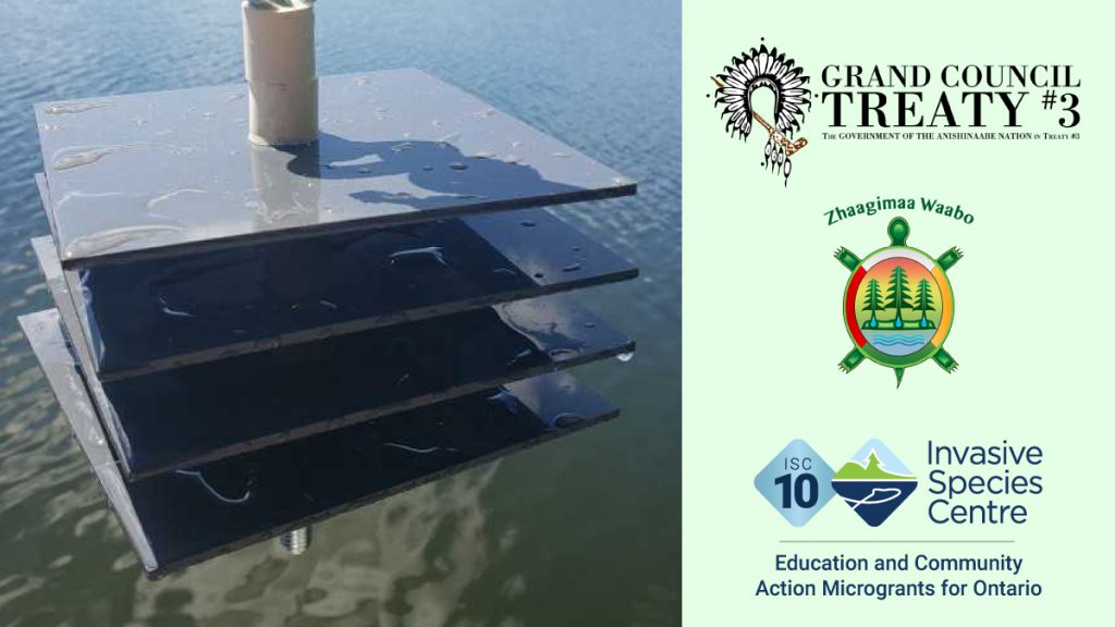 INVASIVE SPECIES CENTRE MICROGRANT FEATURE: Grand Council Treaty #3 ...