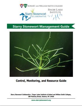 Starry Stonewort – Invasive Species Centre