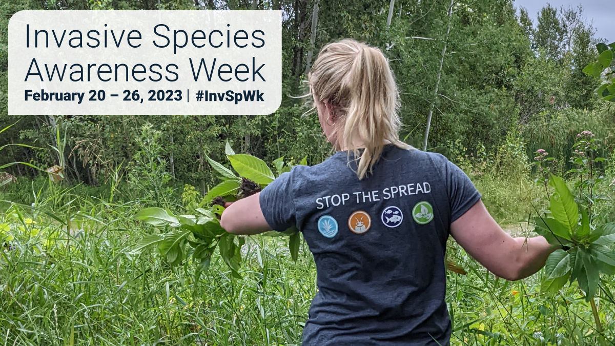 Join the Conversation During Invasive Species Awareness Week February ...