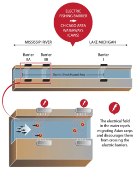 Invasive Species Pathways of Spread – Invasive Species Centre