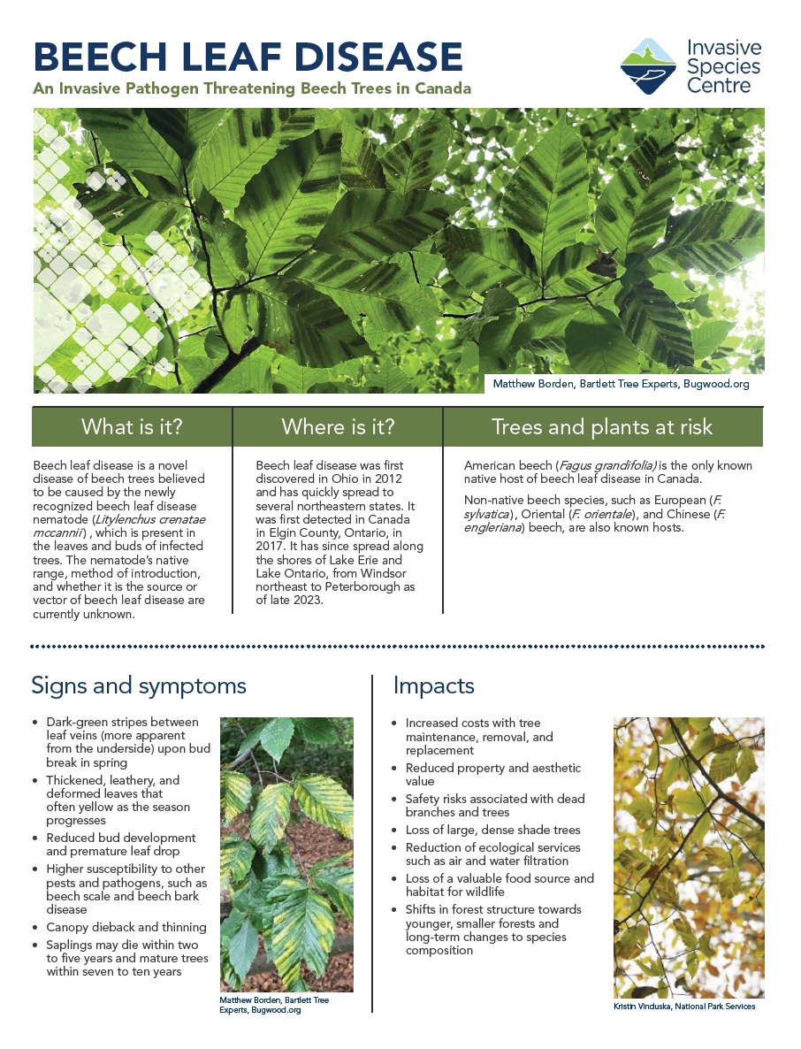 Invasive Species Resources – Invasive Species Centre