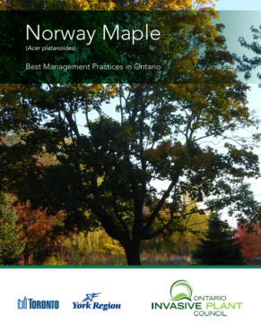 Invasive Species Resources – Invasive Species Centre