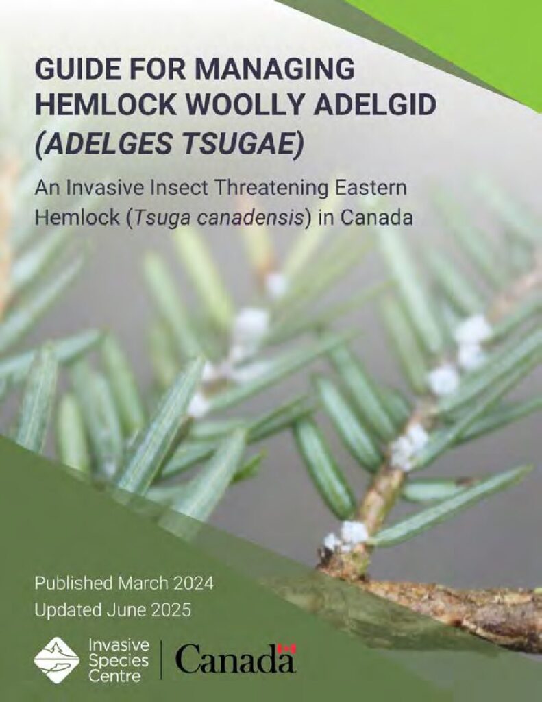 Hemlock Woolly Adelgid – Invasive Species Centre
